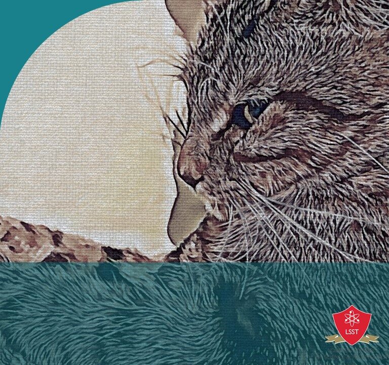 Harvard University shows LSST how cats and nature are propelling ...