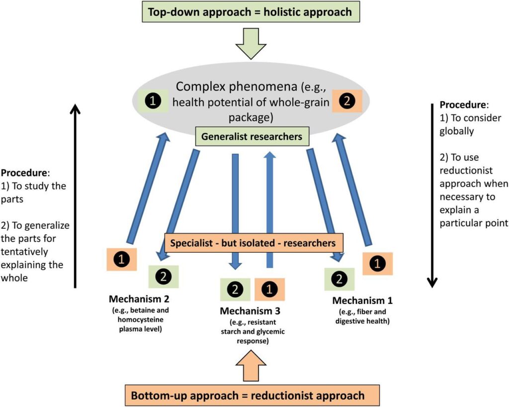 Theoretical approaches to understanding a disease notion: global ...